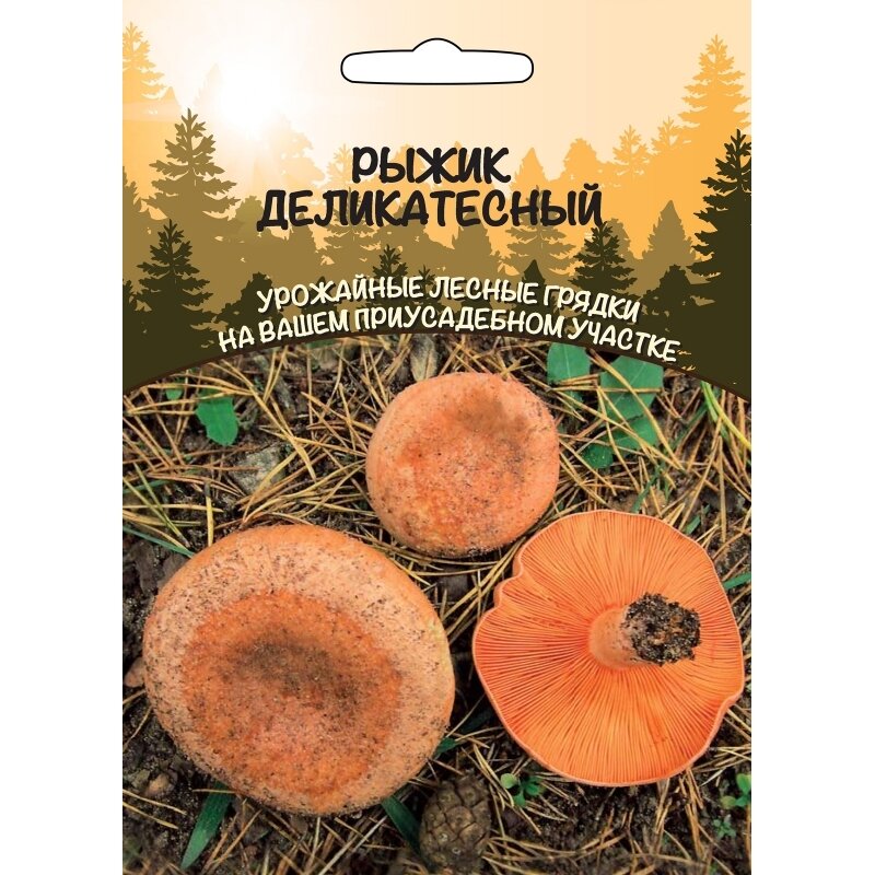 Семена Уральский дачник "Грибы" Рыжик Деликатесный, 30 мл