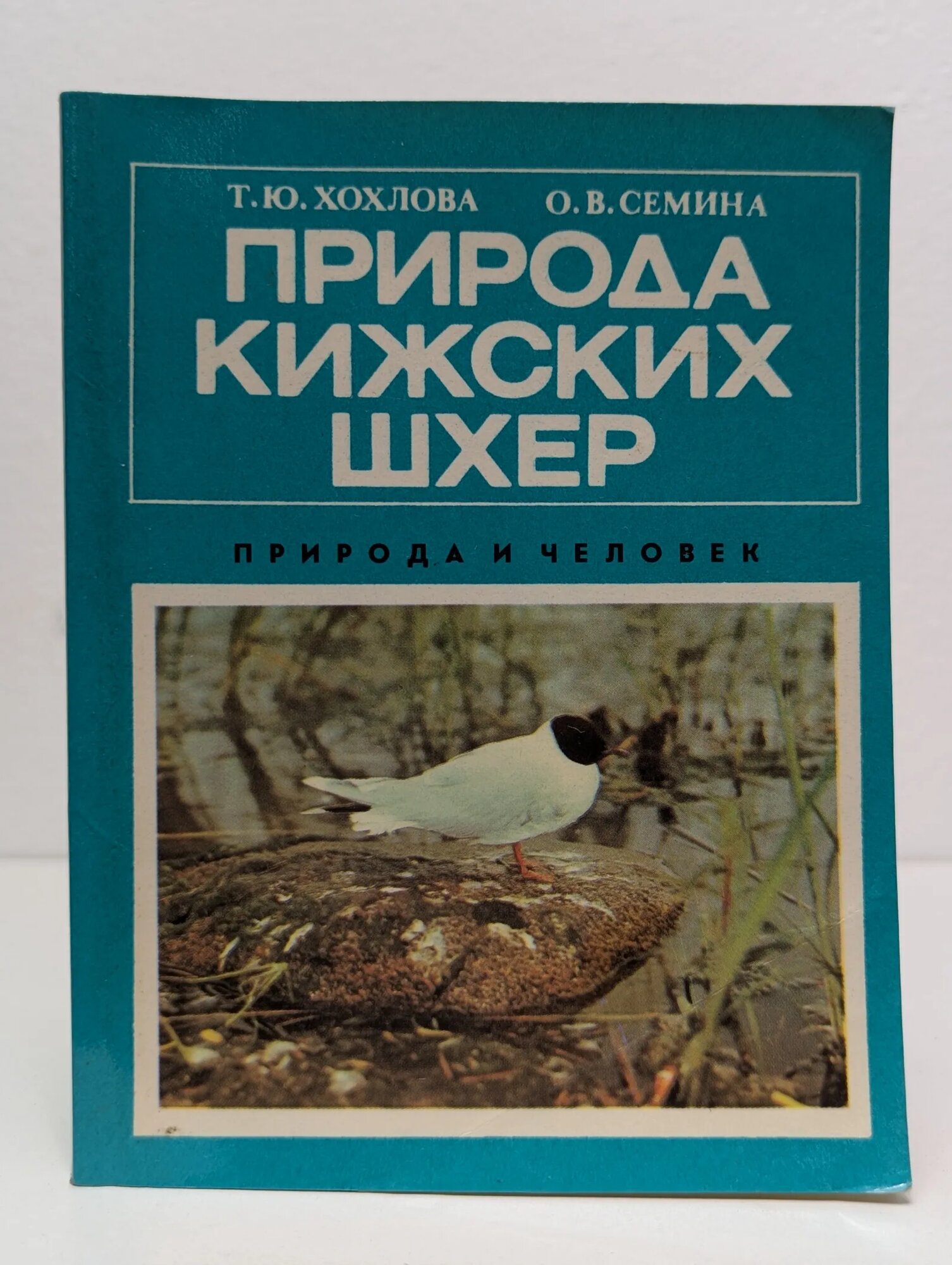 Природа кижских шхер Хохлова Татьяна Юрьевна, Семина О. В. 1988