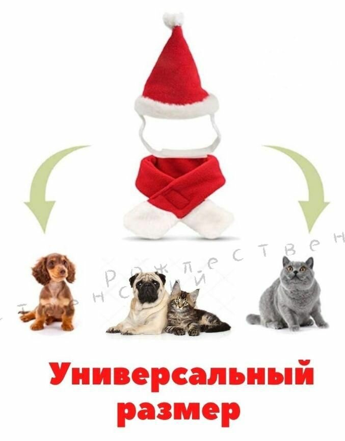 Украшение для животных — фото 1