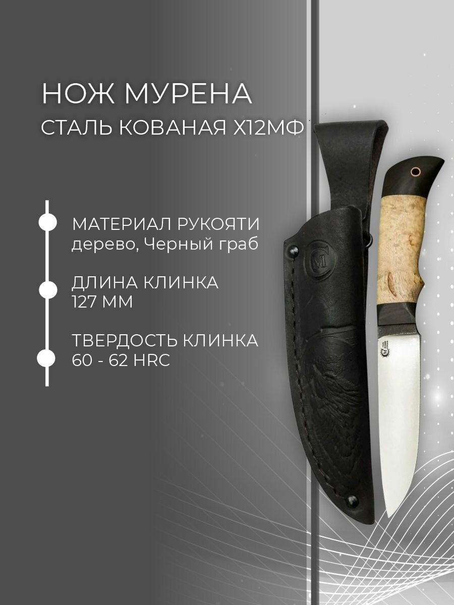 Нож Мурена, кованая сталь Х12МФ, рукоять карельская берёза (ИП Сёмин)