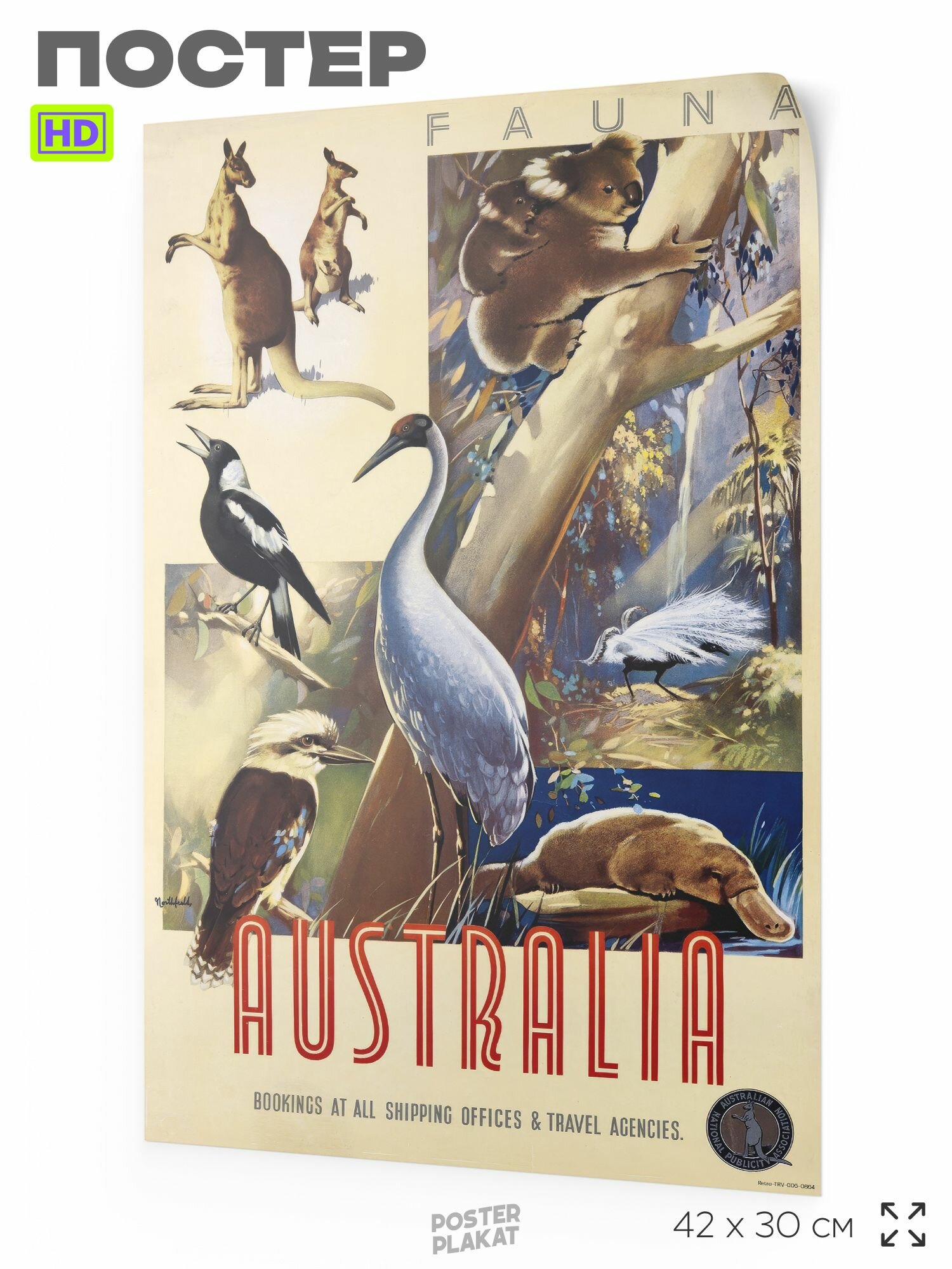 Постер ретро винтажный фауна Австралии, тематика путешествия, на стену для интерьера, А3, Постер Плакат