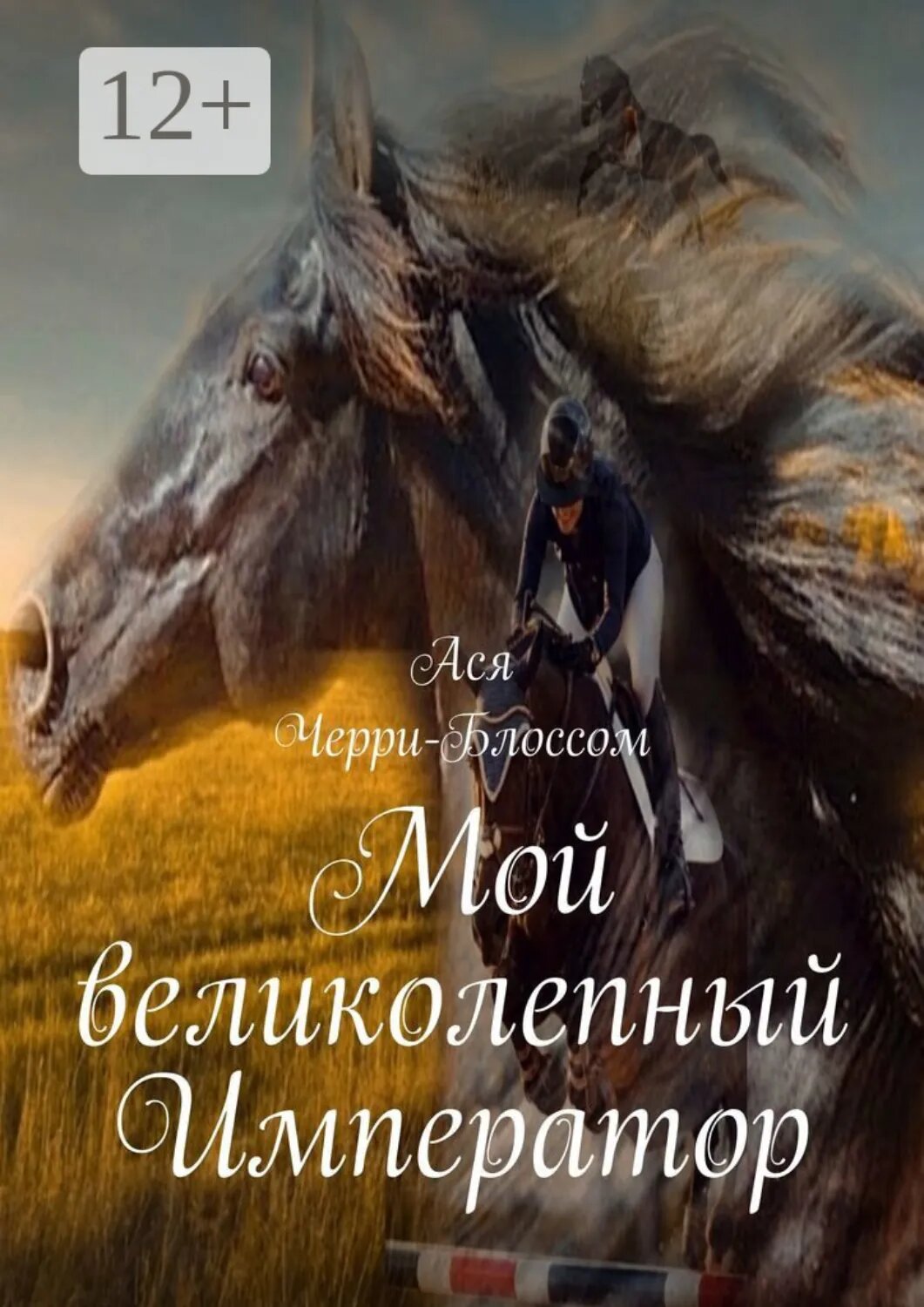 Мой великолепный Император [Цифровая книга]