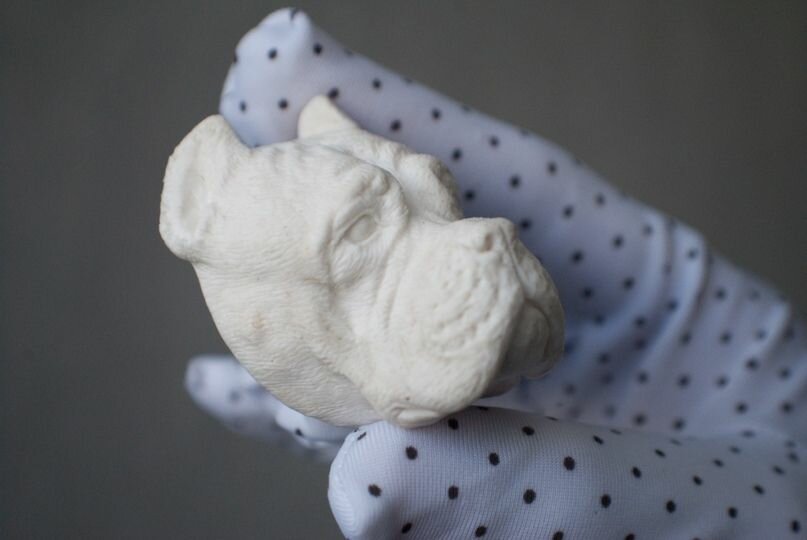 Молд Кане корсо