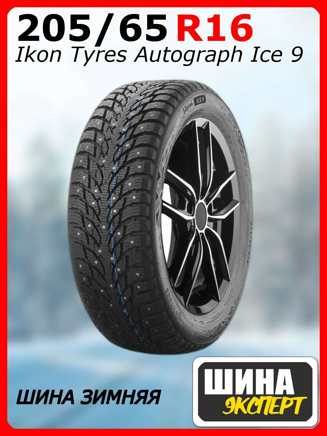Шина зимняя шипованная Ikon Tyres 205/65/16 T 95 Ikon Autograph Ice 9 Ш. для легковых автомобилей TS72385
