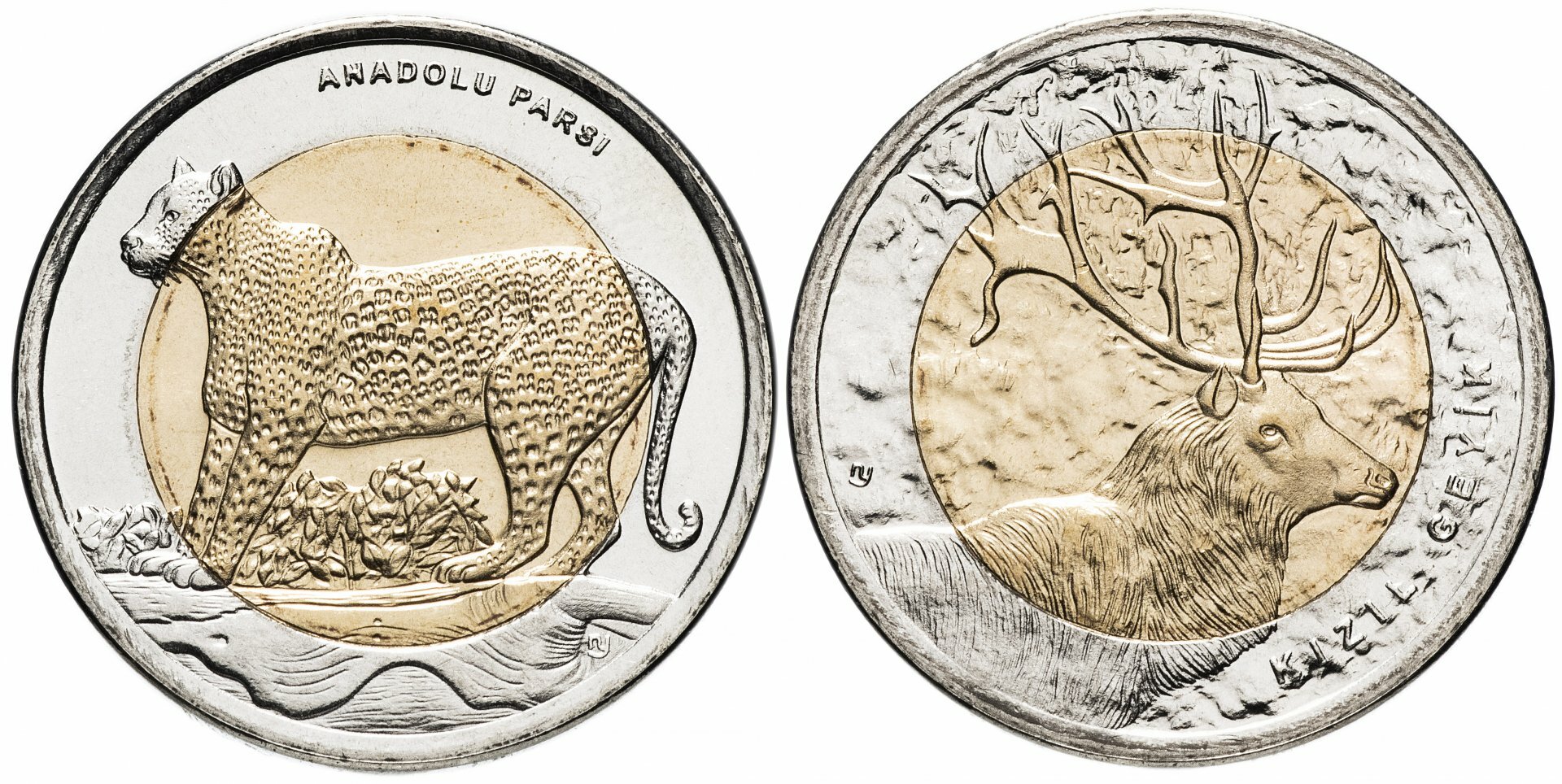 Турция набор монет 1 лира 2012 2 штуки Олень, Леопард, Биметалл, в сохранности UNC