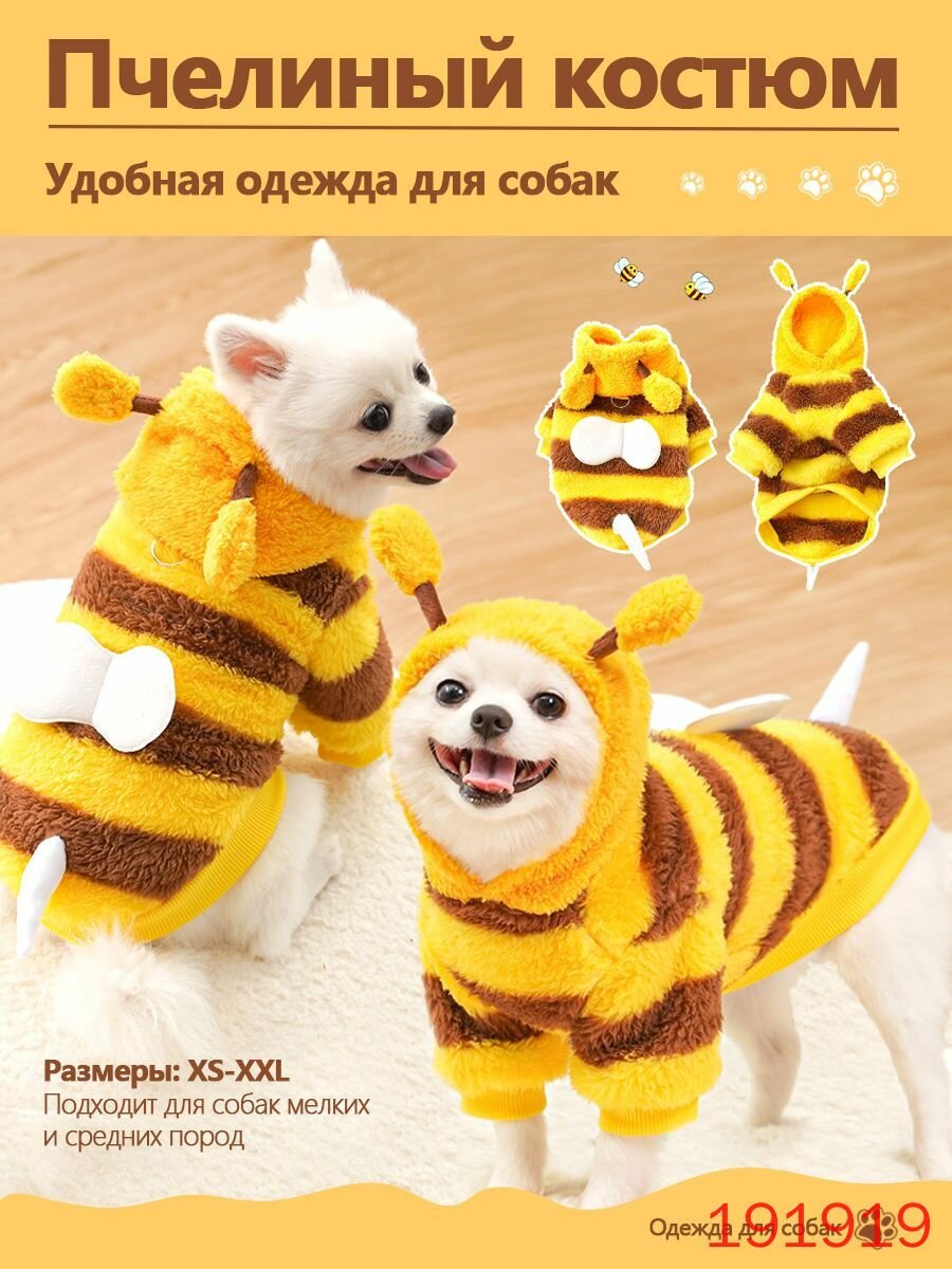 Тяговая пчела с бархатным костюмом, кошки и собаки, осенняя и зимняя одежда.(XXL)(XXL)