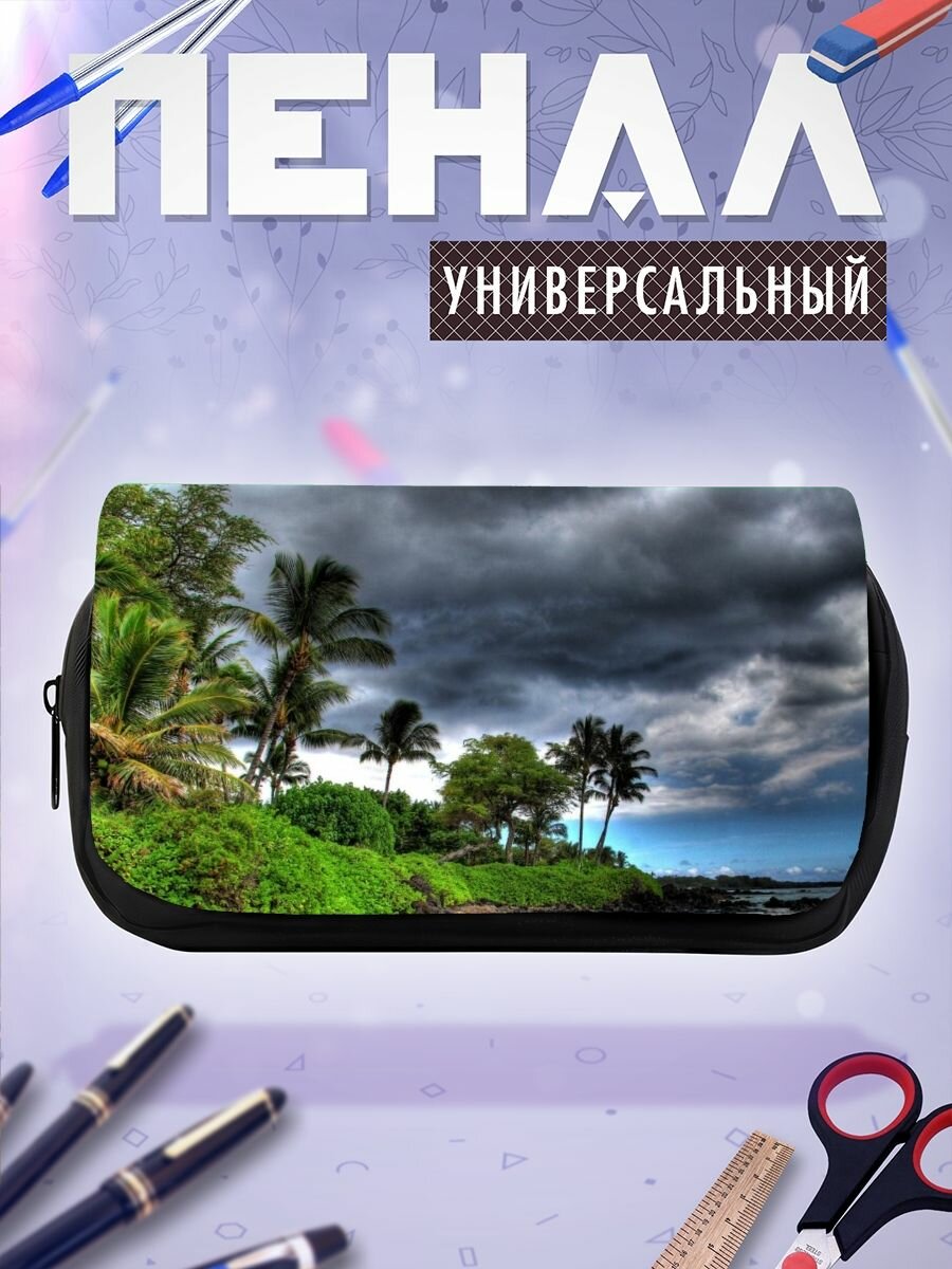 Школьный пенал берег тропическая зона
