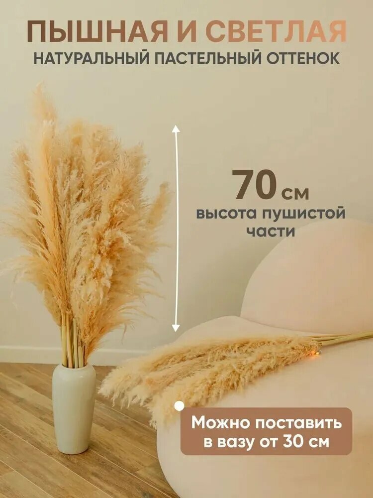 Сухоцветы Сухоцвет, 120 см, 400 гр, 5 шт