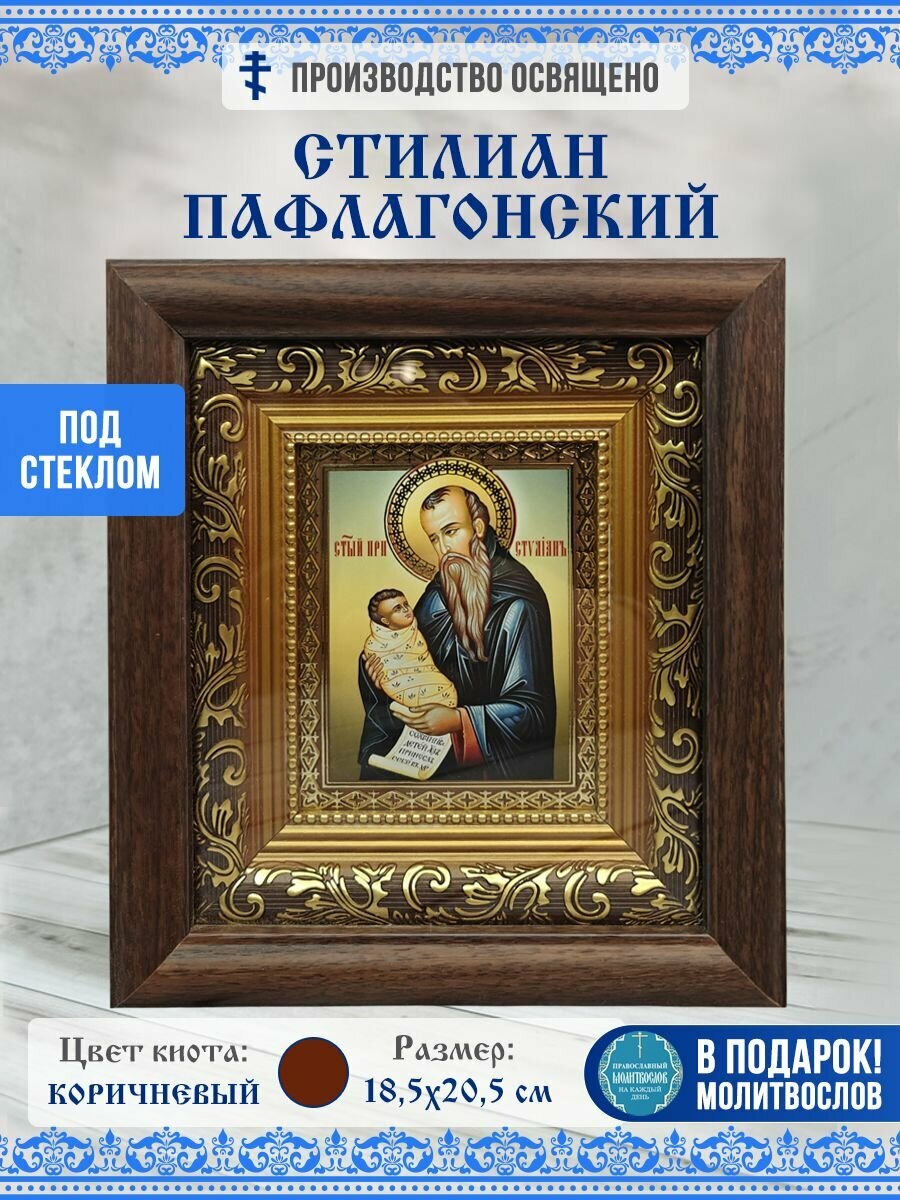 Икона Стилиан Пафлагонский, Преподобный, в киоте за стеклом 18,5х20,5см