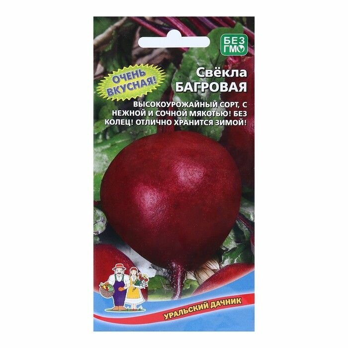 Семена свекла "Багровая", 2 г. темно бордовая , лежкая. Уральский Дачник. 5470865