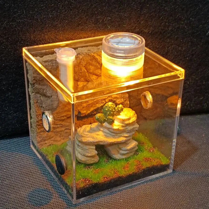 Террариум для пауков с щипцами-капельницами, клетка для улиток, вольер для сверчков, среда обитания древесных тарантулов