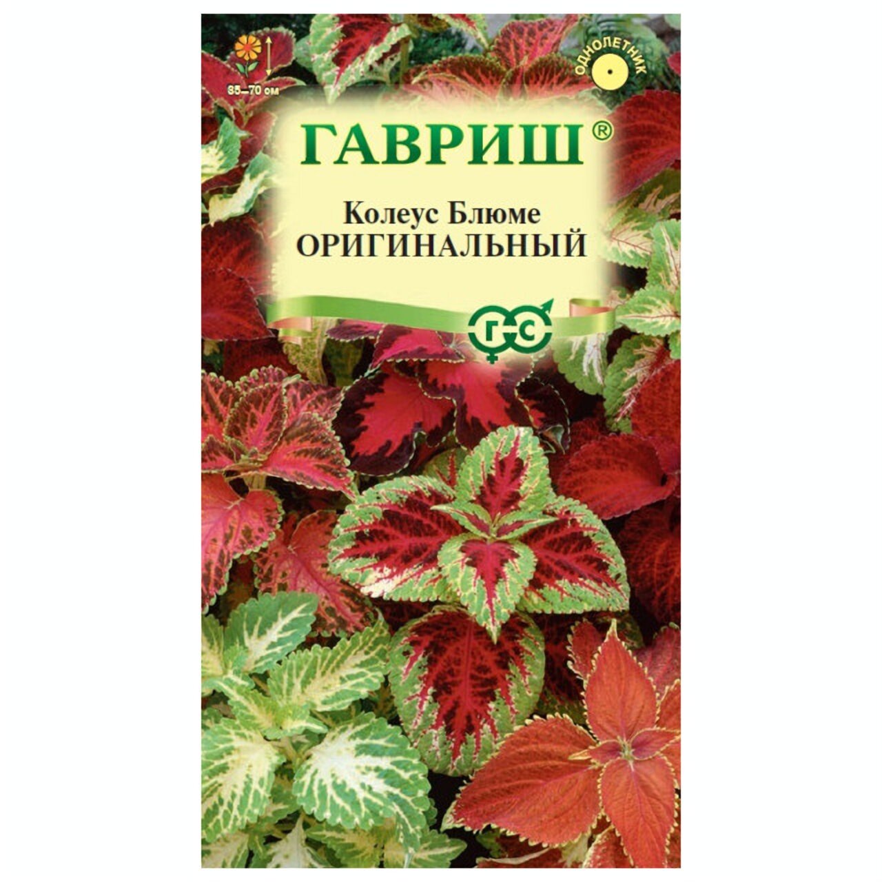 Семена Колеус Оригинальный смесь гавриш 0,03г, для дачи, сада, огорода и на рассаду