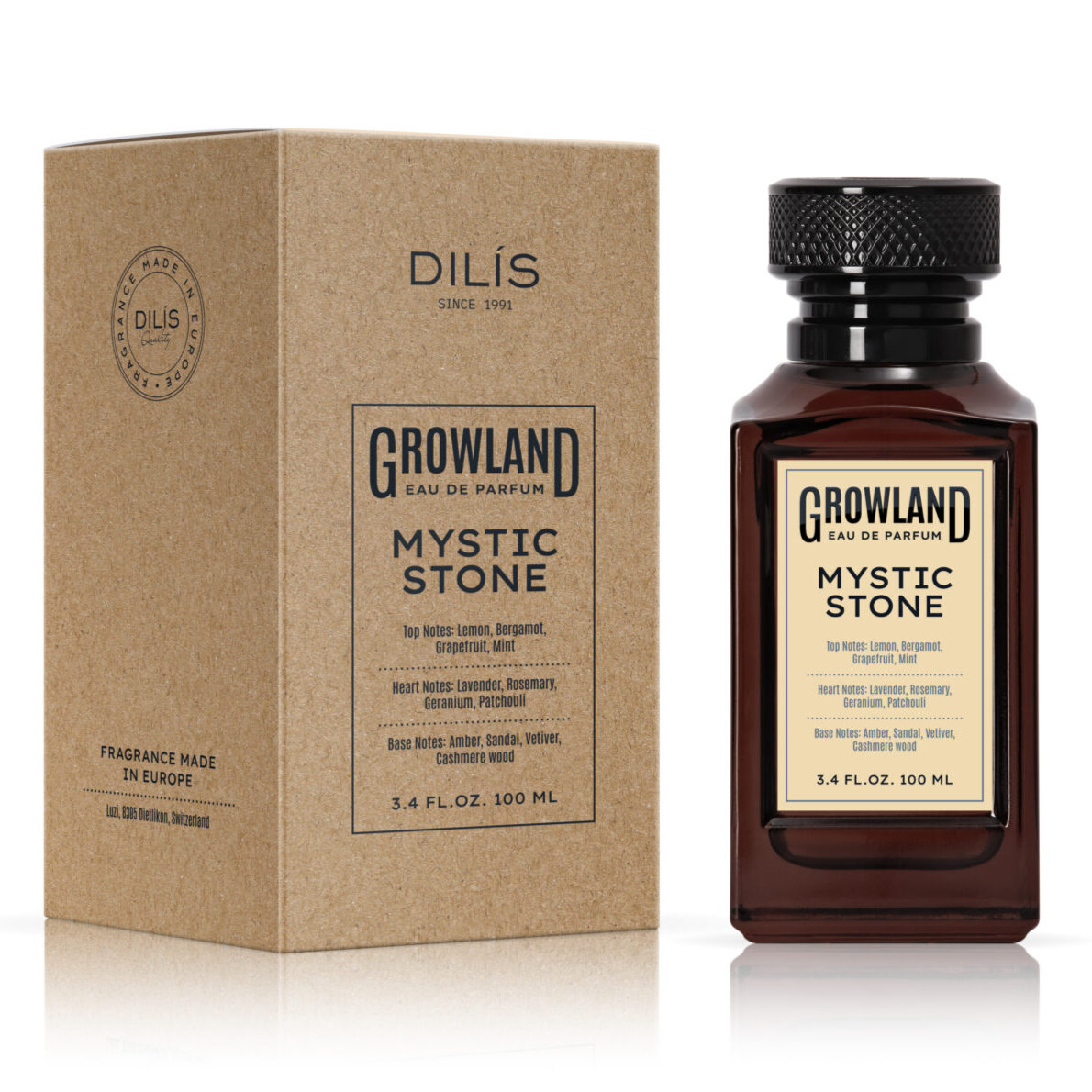 Парфюмерная вода Dilis growland MYSTIC STONE 100ml (аромат PR xs) для мужчин
