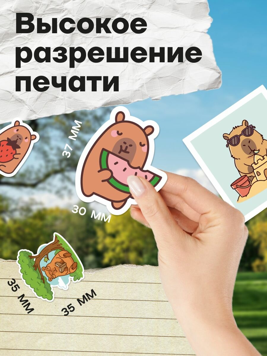 Набор наклеек Stick to Stick "Капибары", винил, влагостойкие, многоразовые — фото 1