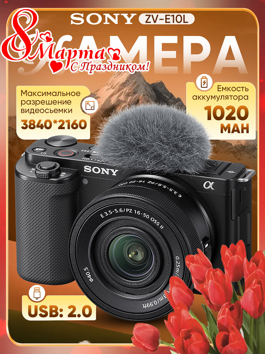 Фотоаппарат Sony ZV-E10 Kit E PZ 16-50mm F3.5-5.6 OSS, черный