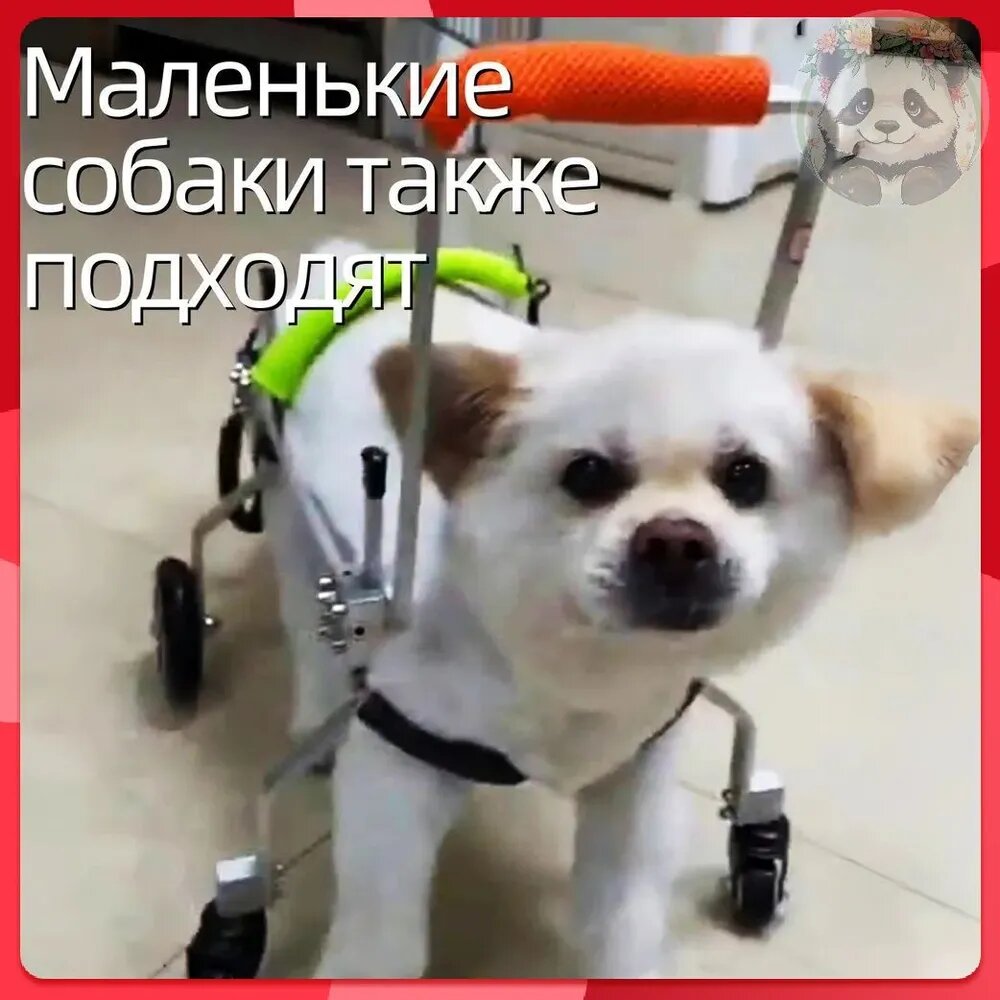 Инвалидная коляска для животных для собак крупного размера из эластана — фото 1
