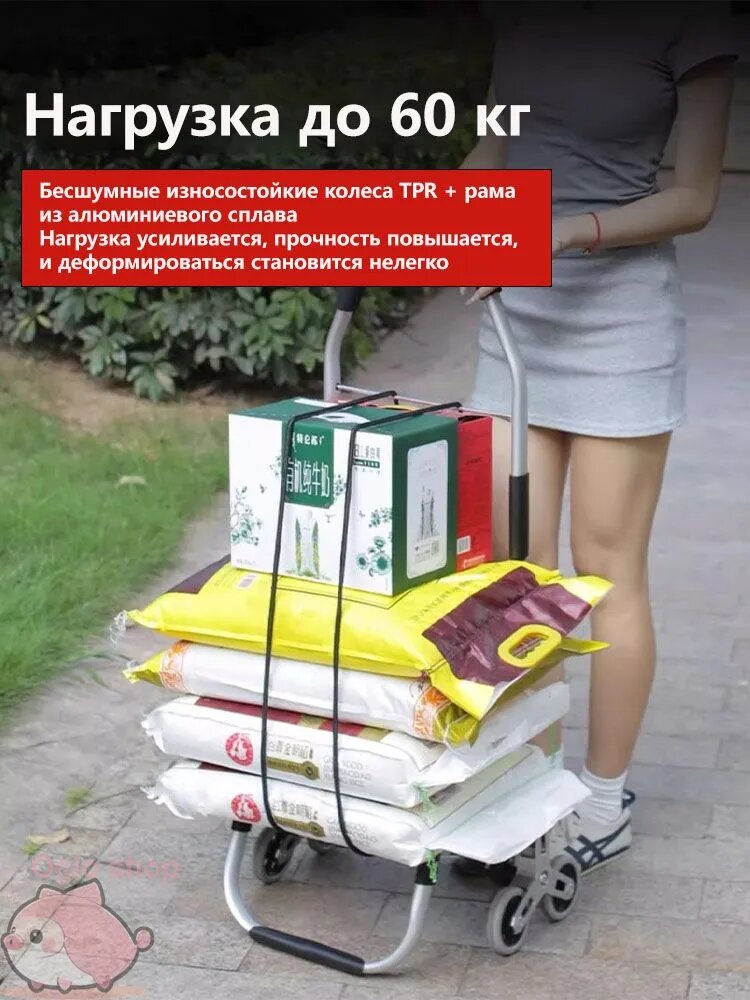 Сумка — фото 1