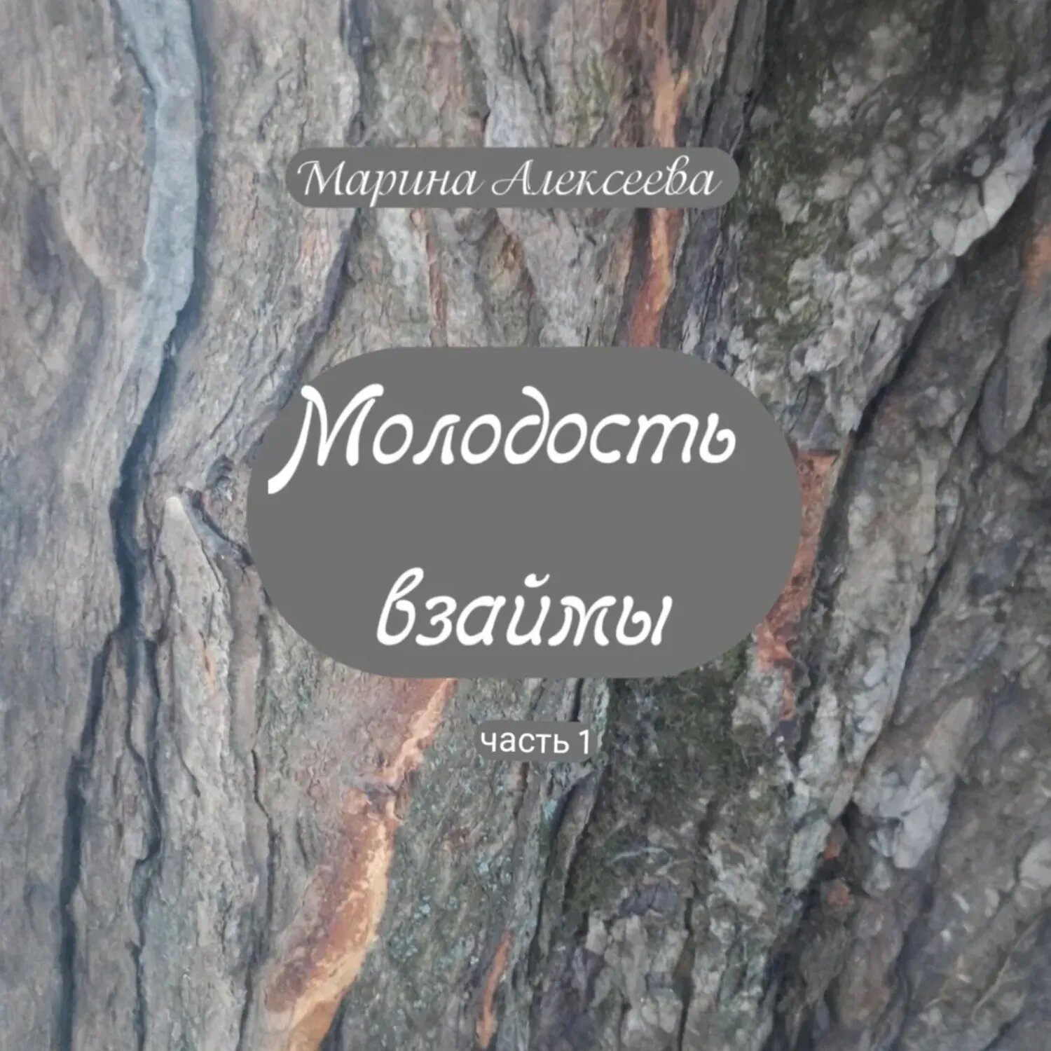 Молодость взаймы [Аудиокнига]
