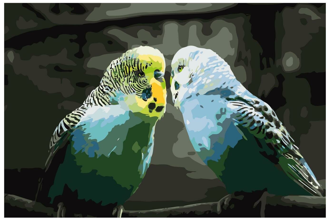 Картина по номерам, 40 x 60, KTMK-birds012
