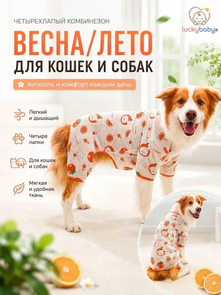 Футболка для домашних животных