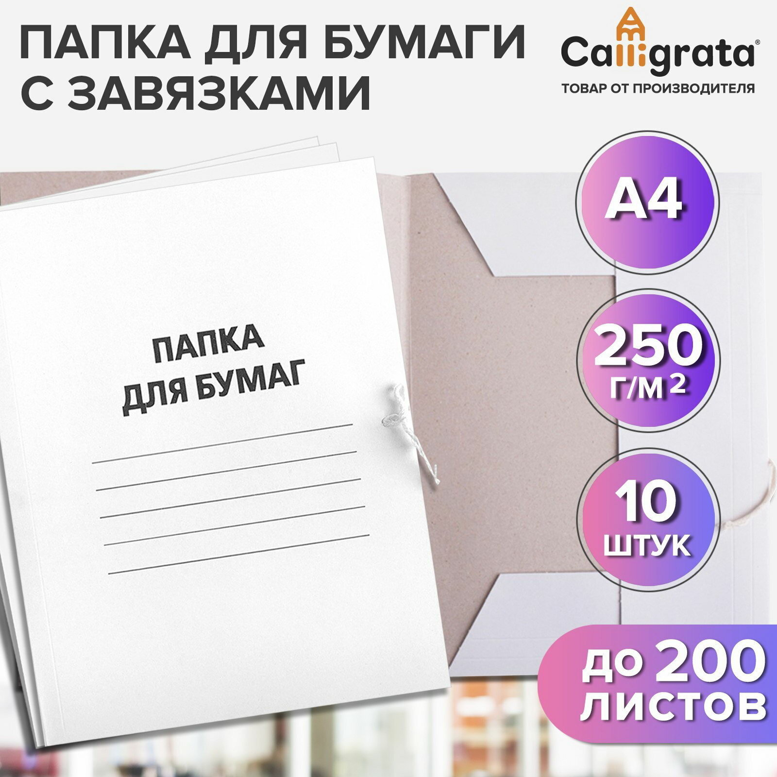 Набор папок для бумаги с завязками 250 г/м2, картон немелованный, до 200 листов, 10 штук