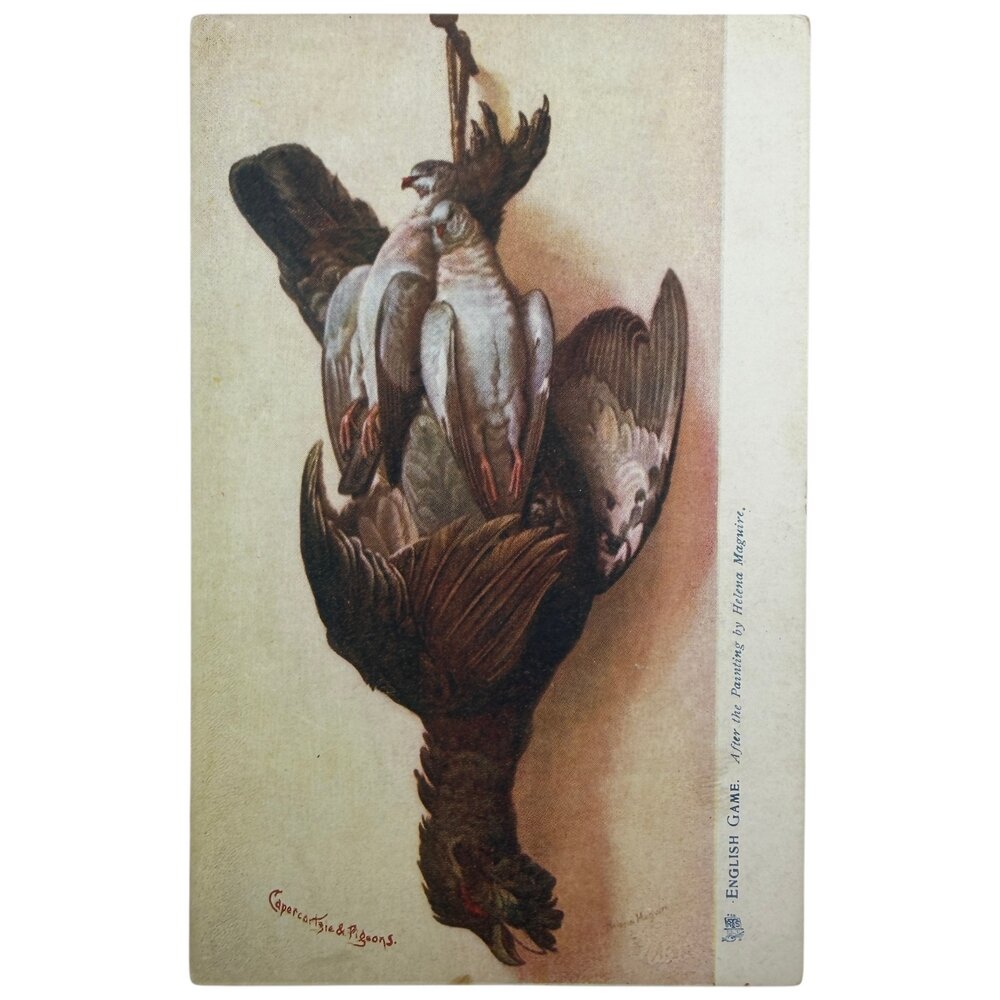 Почтовая открытка "Глухарь и голуби - Oilette" 1905-1915 гг. Raphael Tuck & Sons. Великобритания
