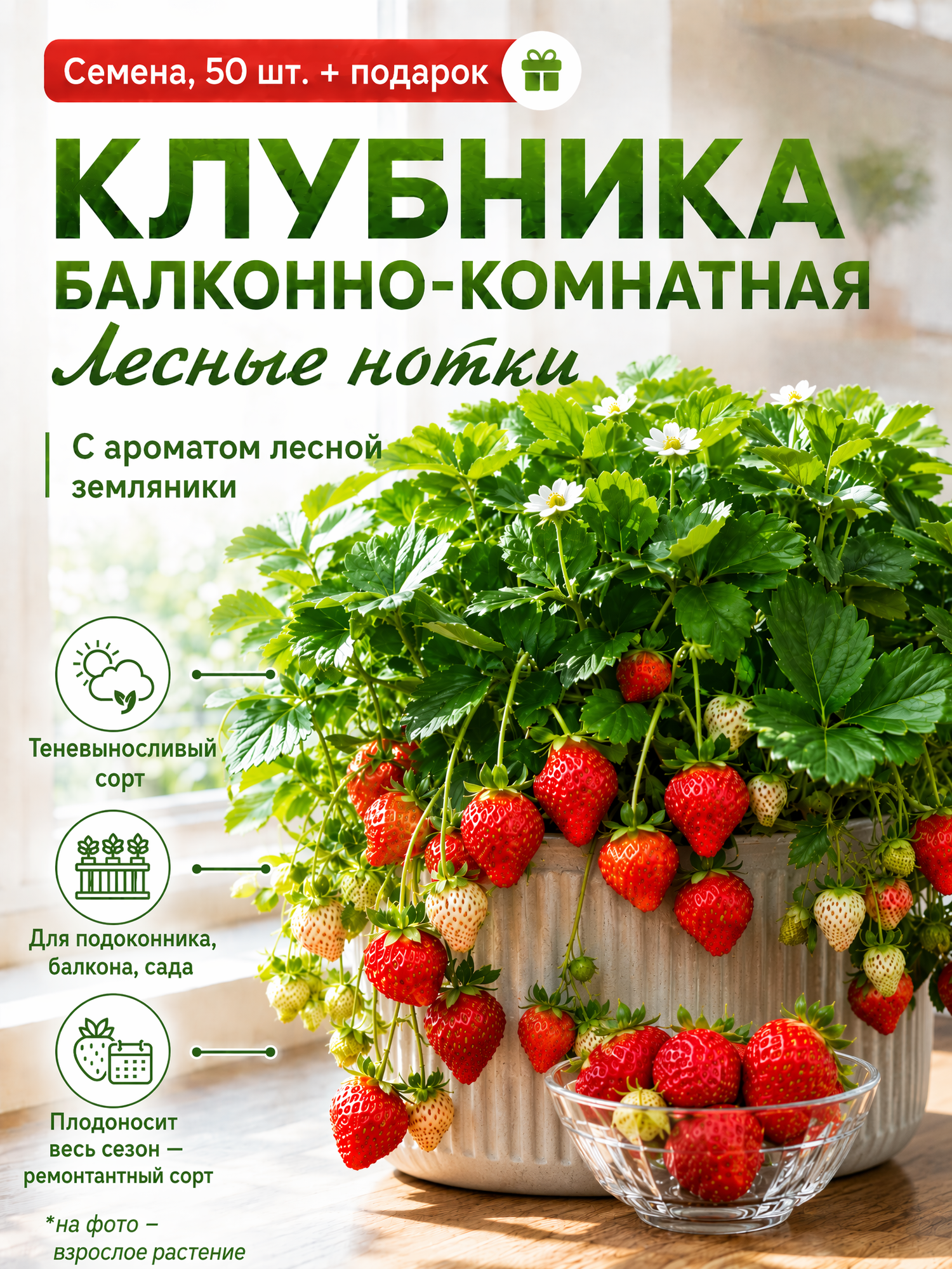 Клубника балконно-комнатная Лесные нотки, Семена, 50 шт, семена ягод