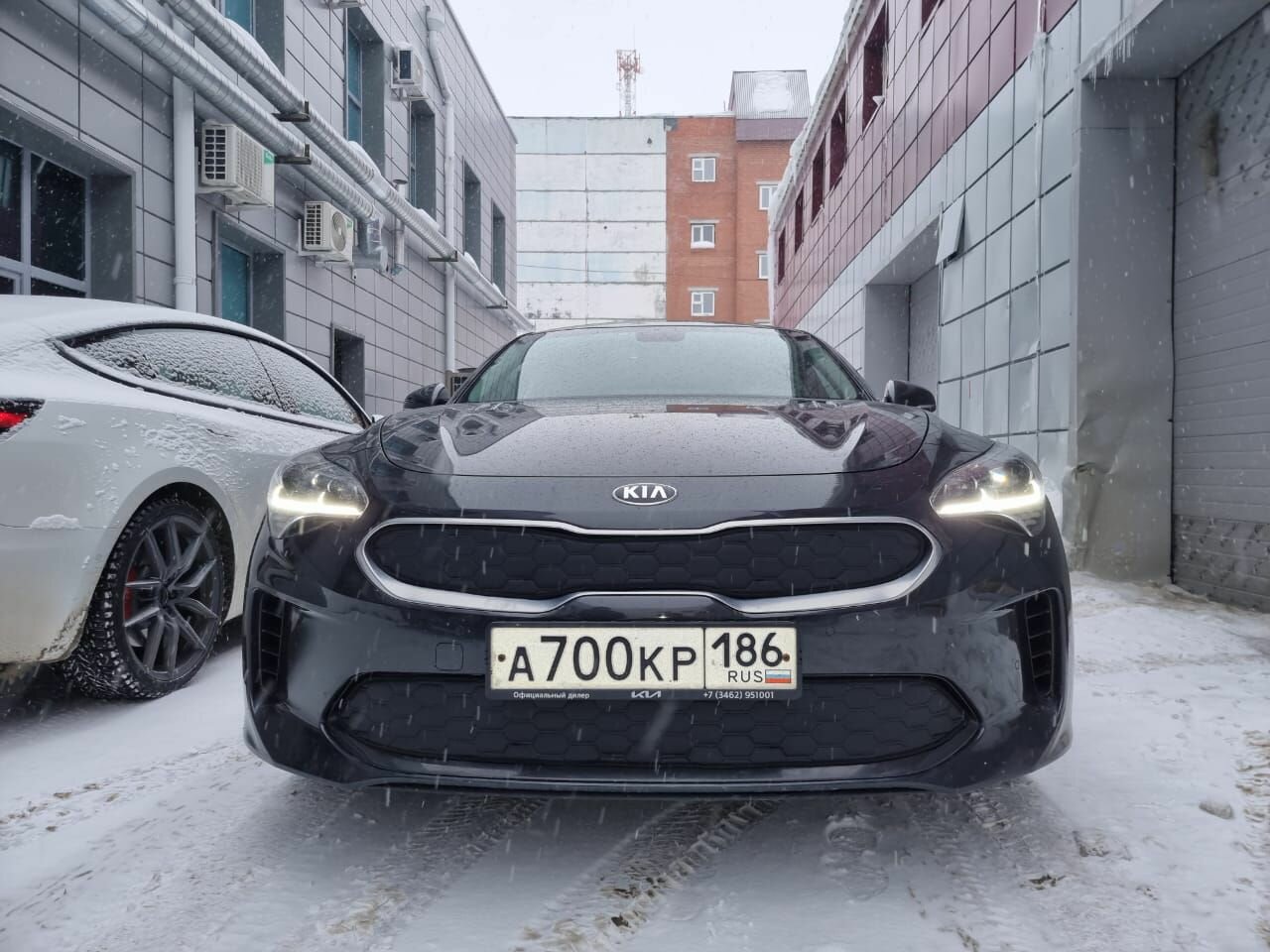 Утеплитель радиатора Экономия топлива Kia Stinger Киа Стингер (2017 -2021) I