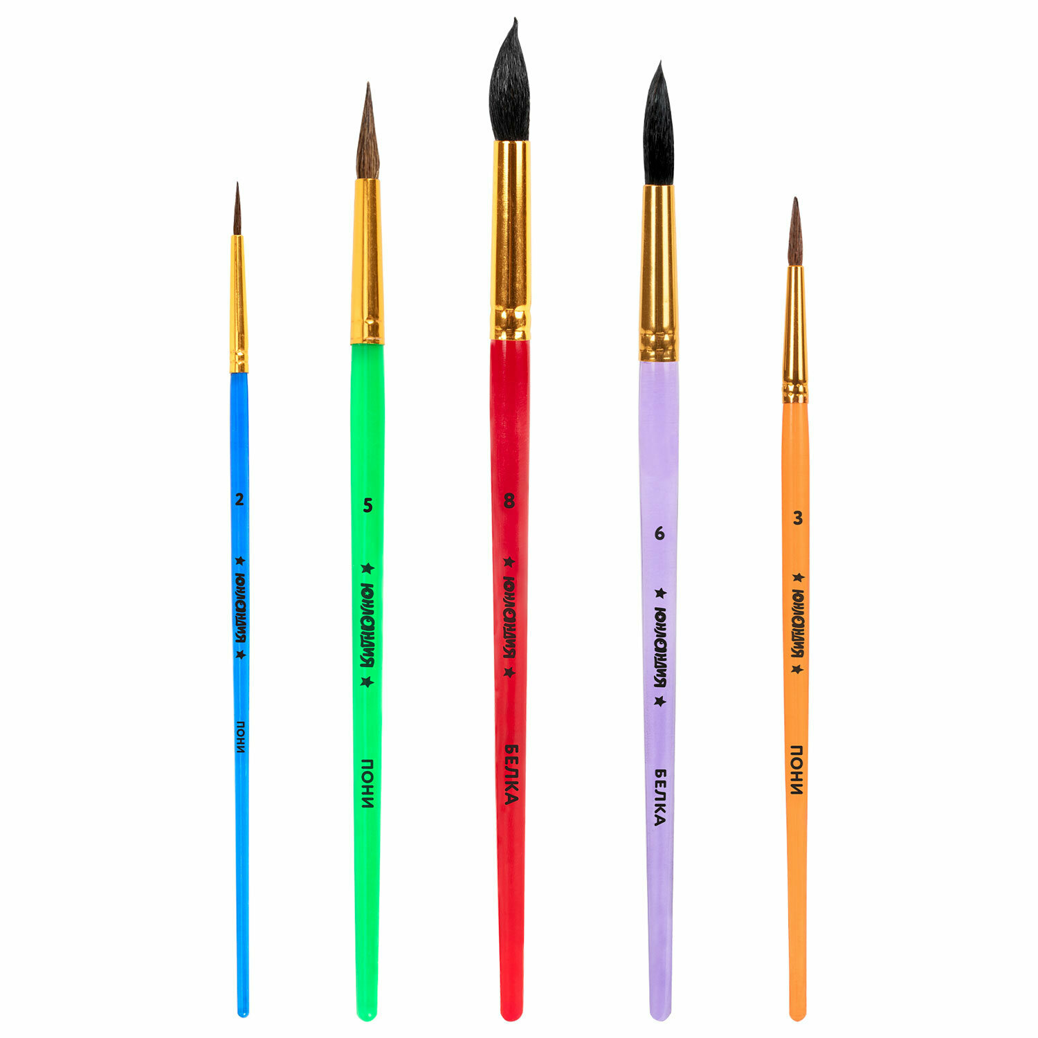 Упаковка 6 шт. Кисти пони, белка набор 5 шт. (пони круглые 2, 3, 5 белка круглые 6, 8) блистер, юнландия, 201070