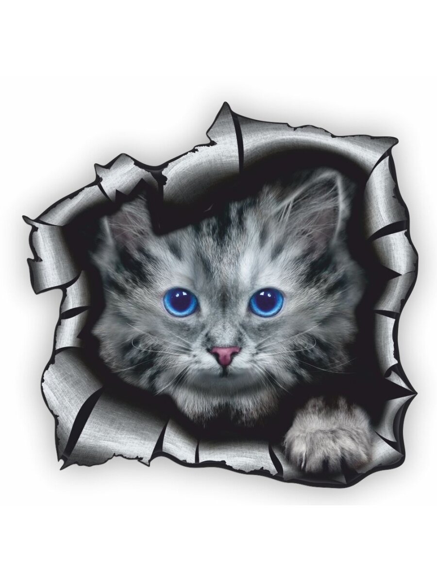 Наклейка "Разлом (Кошка)", 250х250мм, Арт рэйсинг