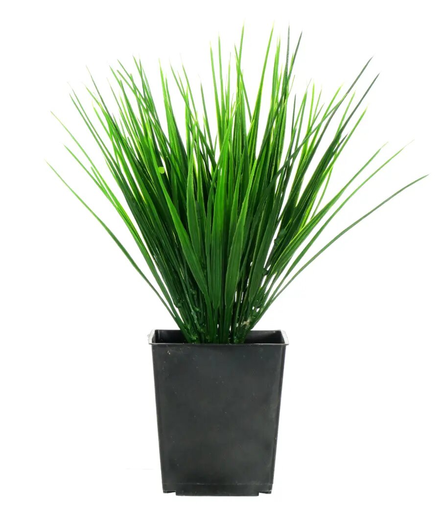 Искусственное растение в горшке осока Дуо h30 см