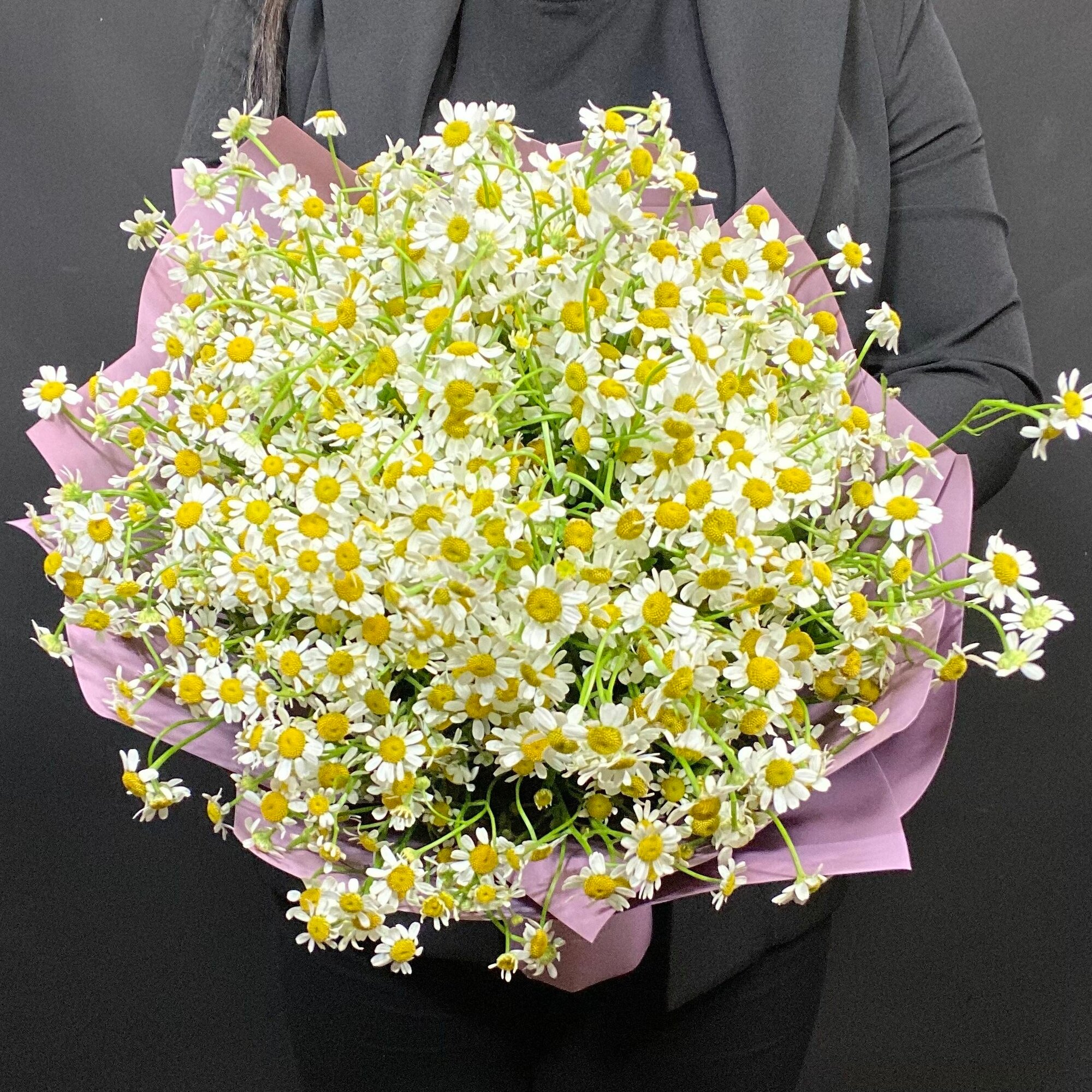 Ромашки (ромашки - 25 шт), высота букета 45 см, ширина 27 см