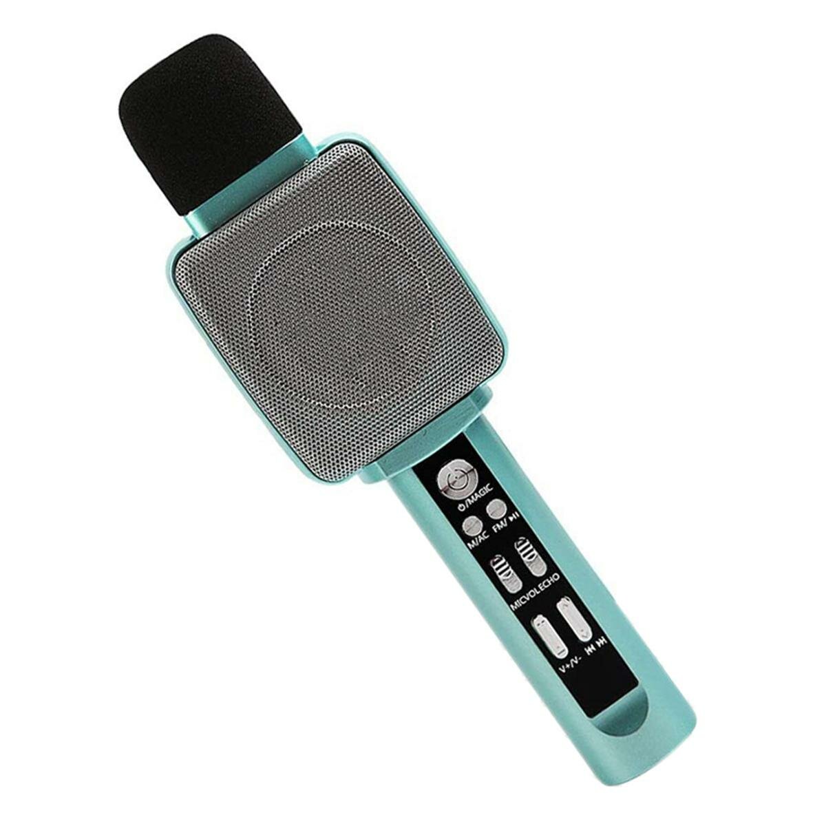 Детский музыкальный микрофон с Bluetooth-динамиком и преобразователем голоса - лучшая игрушка и подарок для детей, Lake