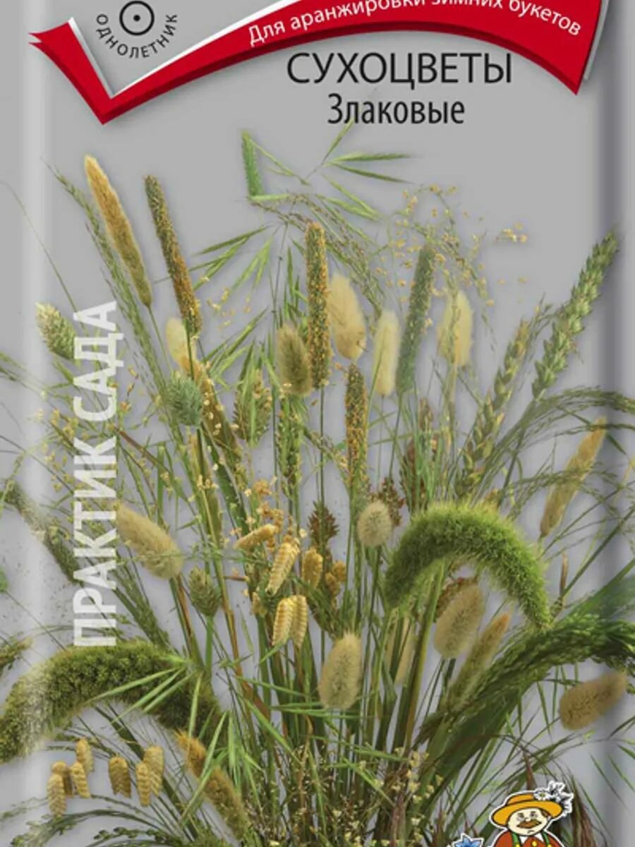 Сухоцветы Злаковые 0,3 г, Семена Поиск