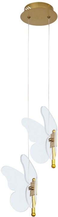 Подвесной светильник Arte Lamp Darcy A2187SP-2GO
