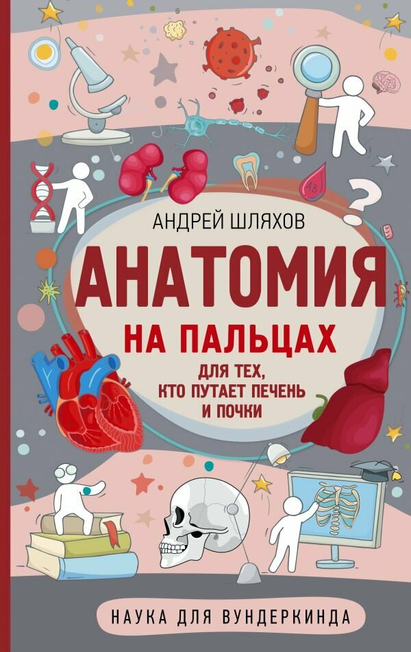 Анатомия на пальцах / Шляхов А. Л.