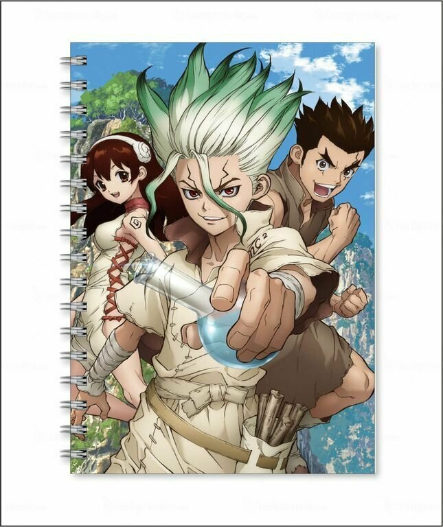 Тетрадь доктор стоун, DR. STONE №6