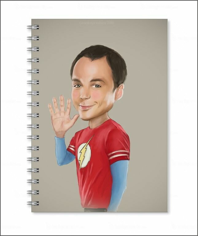 Тетрадь Теория большого взрыва, The Big Bang Theory №11