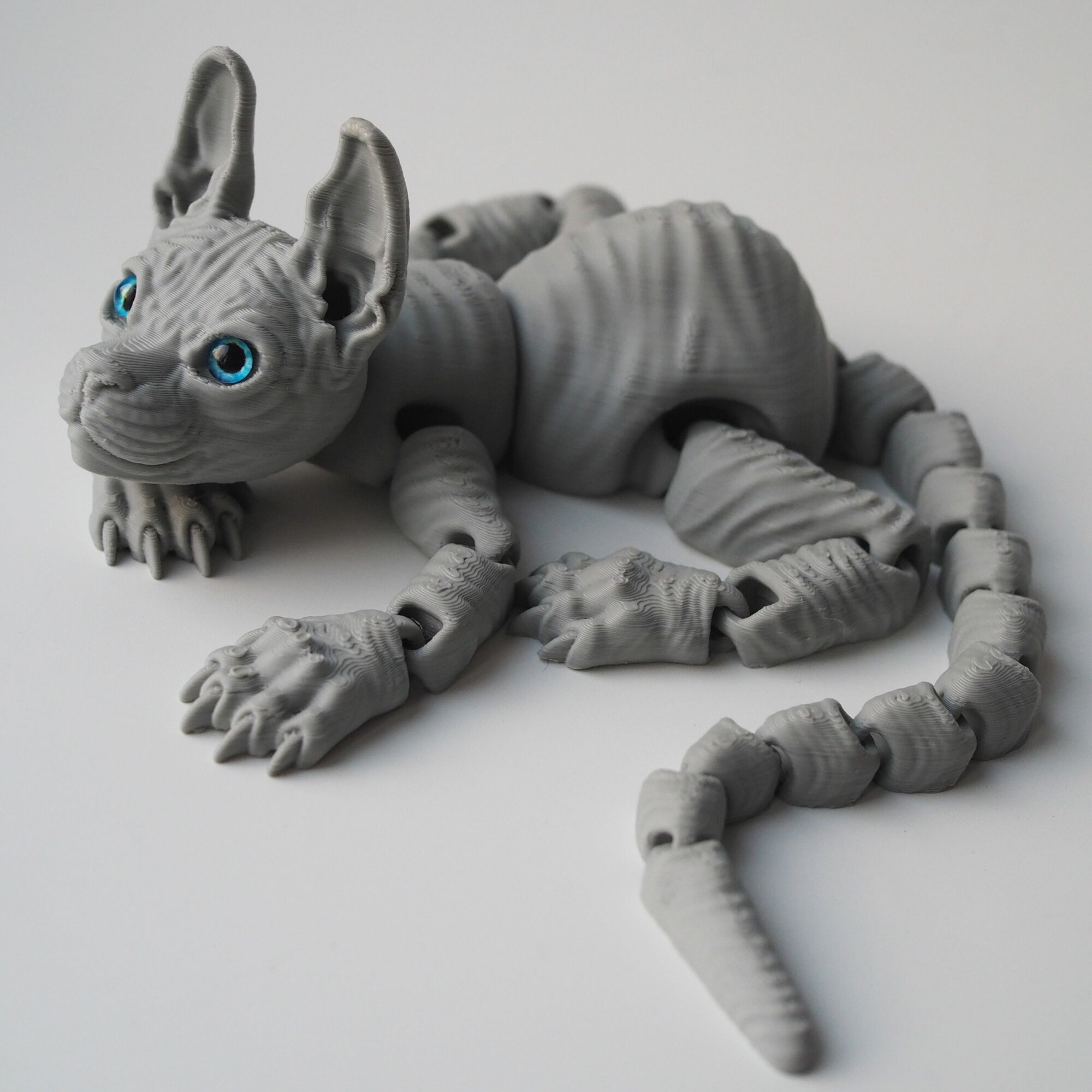 Кот подвижный сфинкс