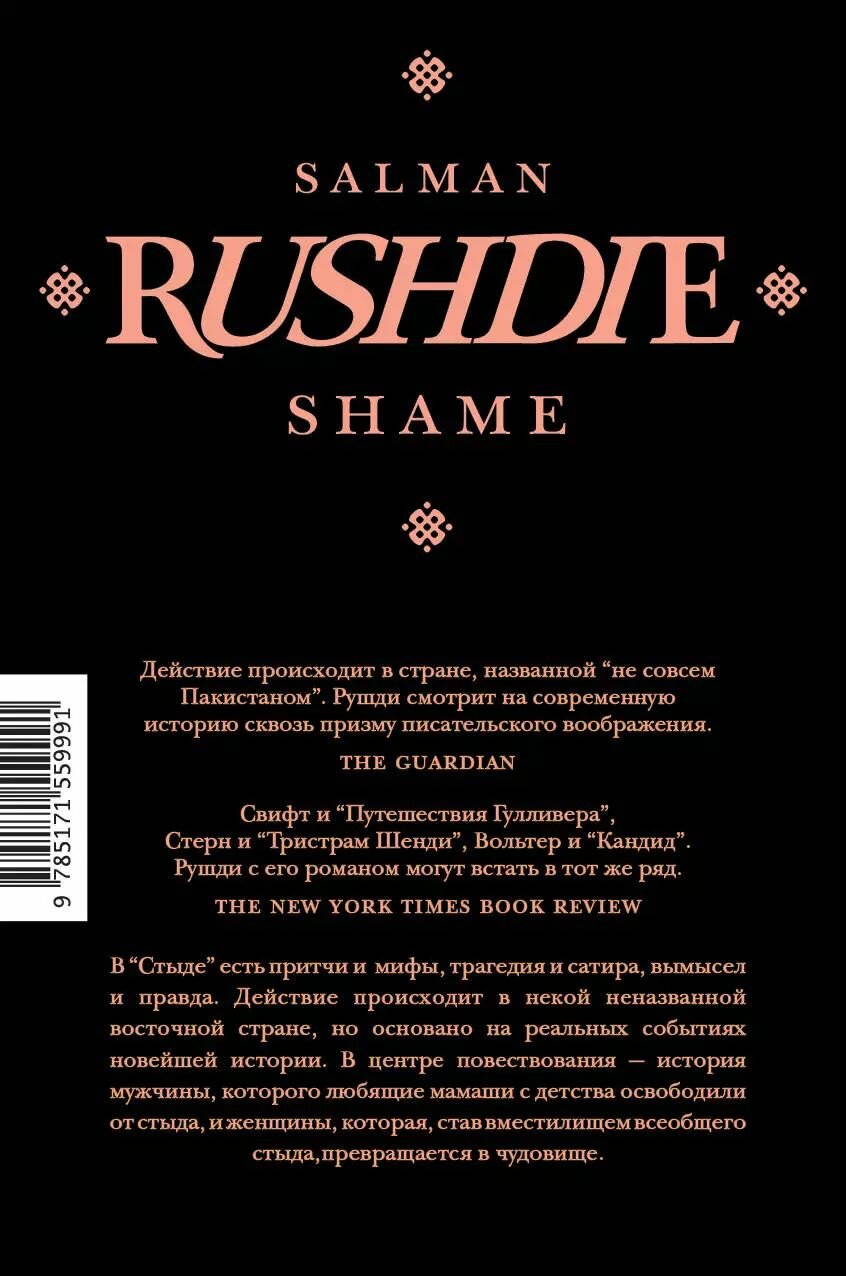 Стыд: роман