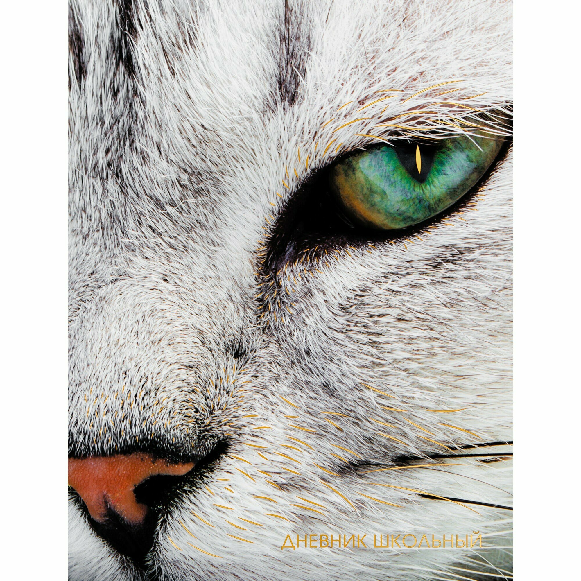 Дневник школьный Котик