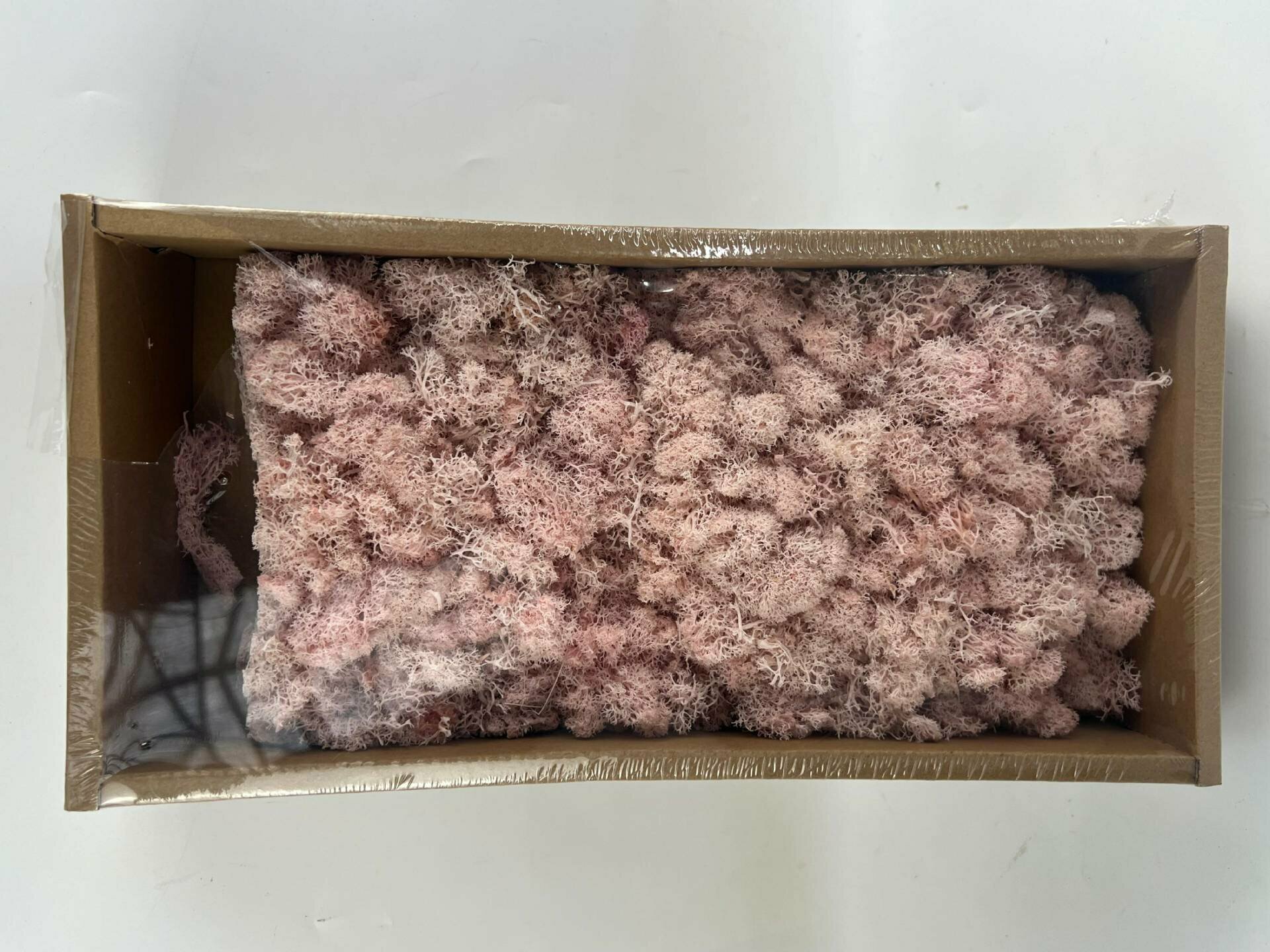 Вечный мох Grass of Dreams mzchc-0035, искусственный, светло-розовый, в штучной упаковке