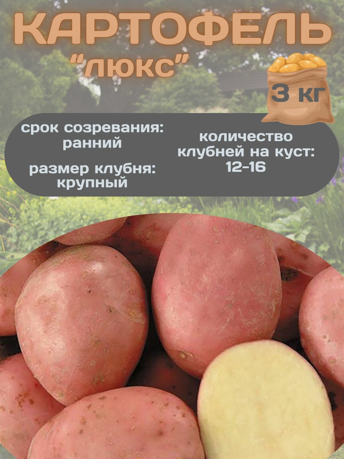 Картофель семенной Люкс 3 кг, на посадку