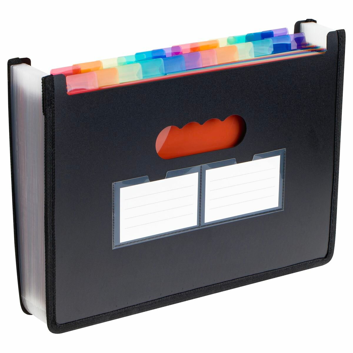 Папка-органайзер на резинке Стамм (А4, 25 отделения) черная (ММ-322771)