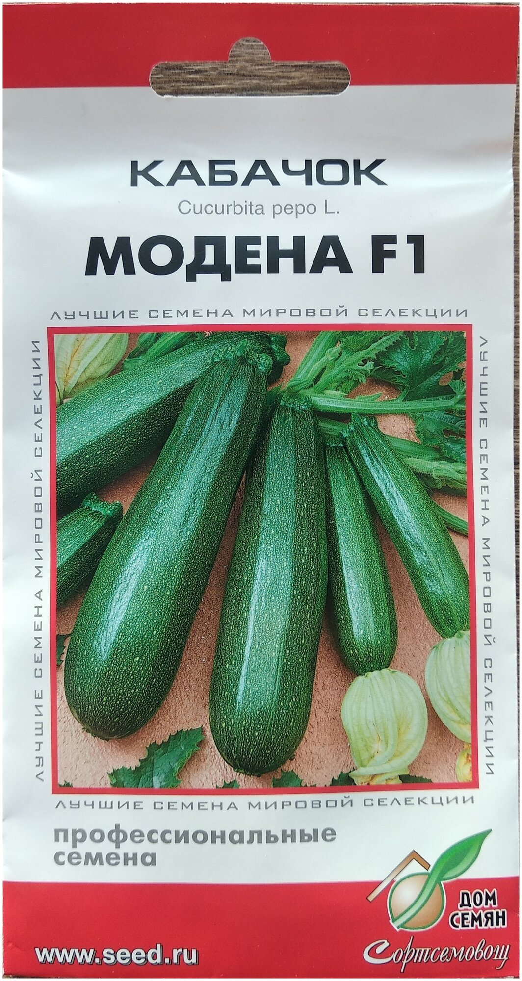 Кабачок Модена F1, очень красивый вкусный урожайный, 5 семян