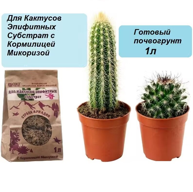 Грунт/субстрат для выращивания эпифитных кактусов, 1л