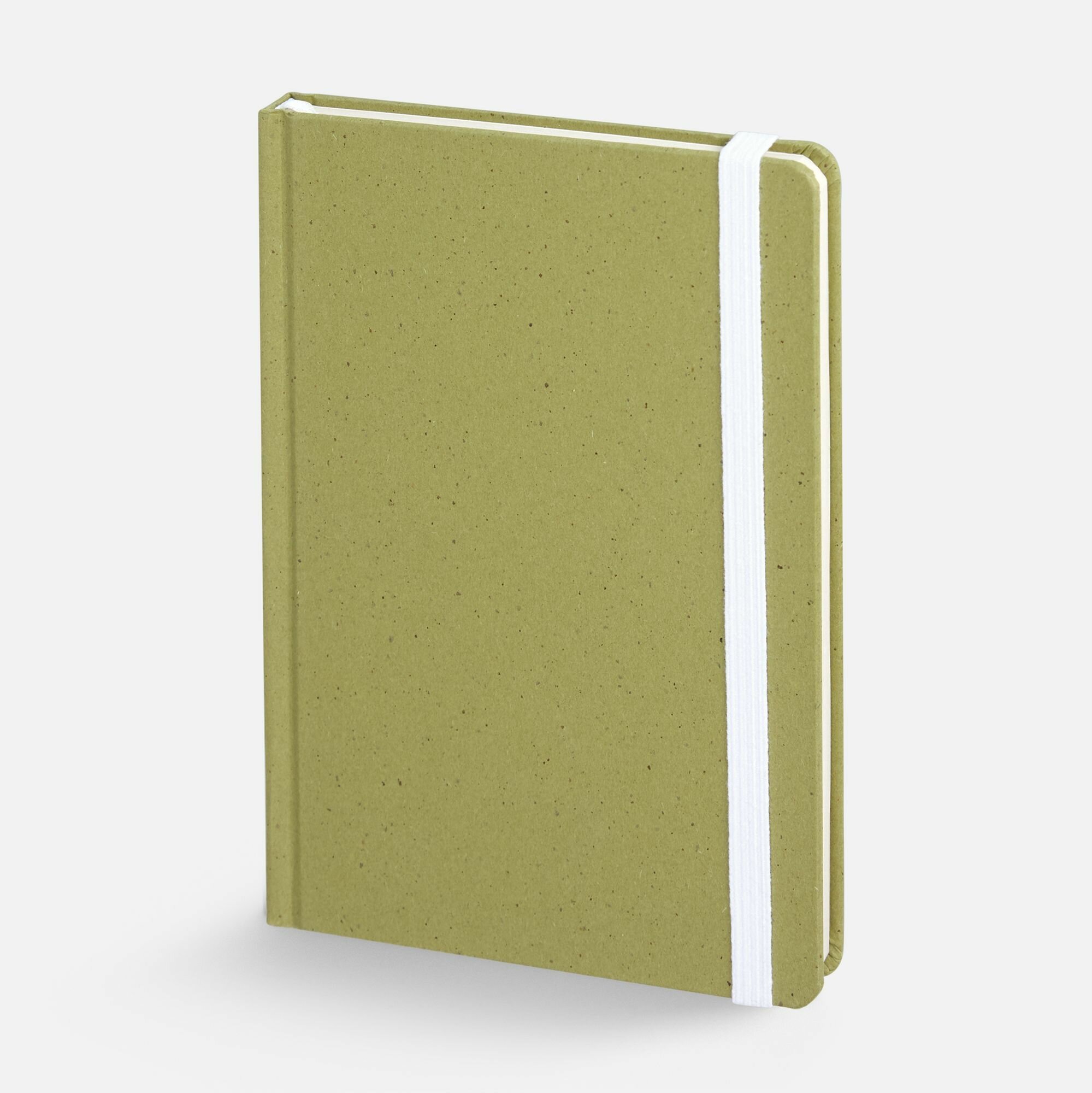 Блокнот для записей на резинке в линейку А5 128 стр, твердая обложка, Lactonica, зеленый, подарок девушке