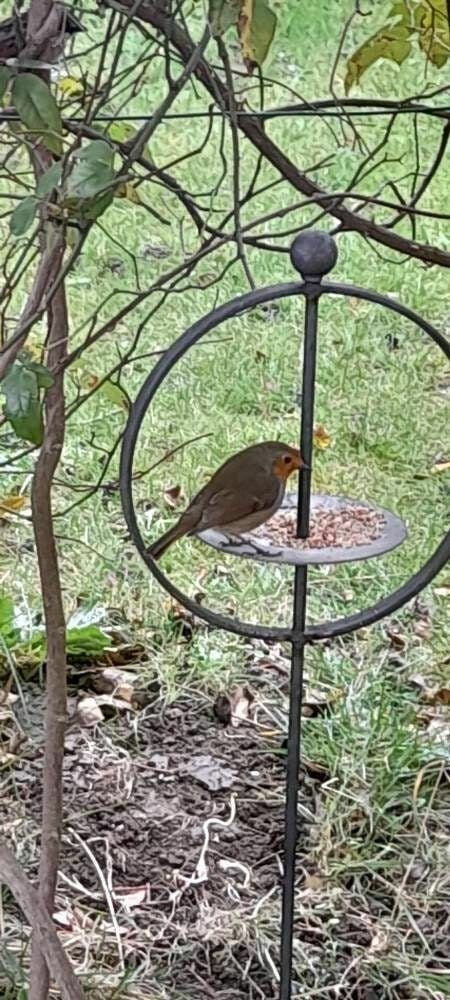 Кормушка садовая для птиц и белок 1,2м