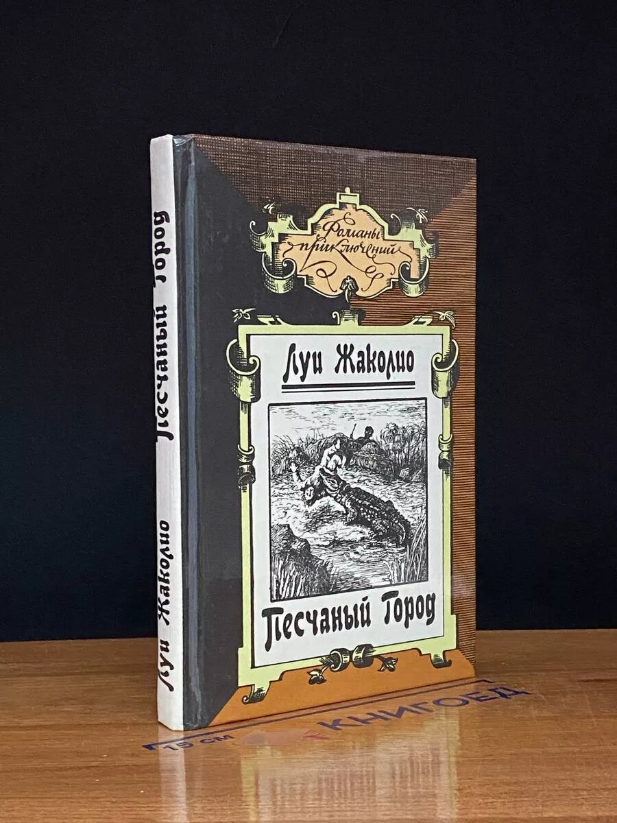 Книга. Песчаный город 1993 (2040770898764)