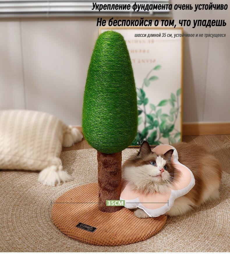 Когтеточка — фото 1